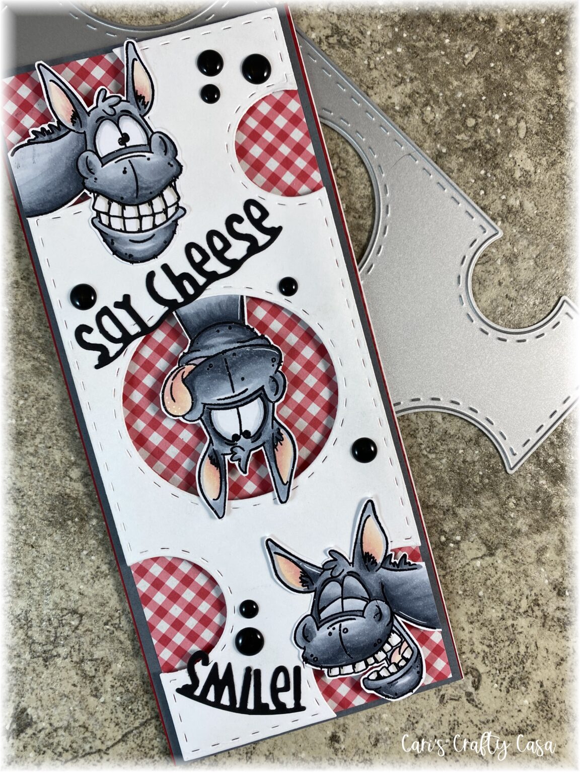 Say Cheese! - Color * Craft * Create * Repeat