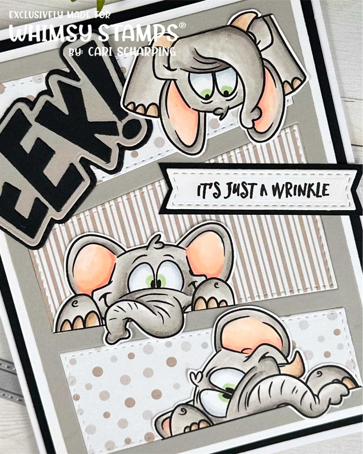 It's Just a Little Wrinkle Handcrafted Birthday Card